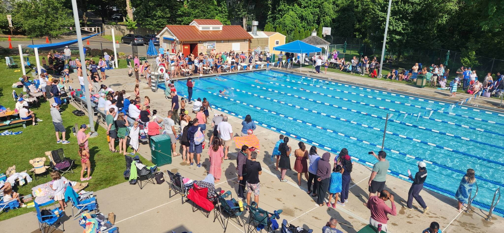 Camps/Programs | Stonybrook Swim Club